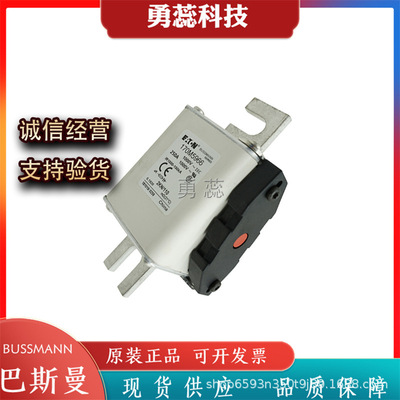 快速熔断器170M4973170M4974170M5966