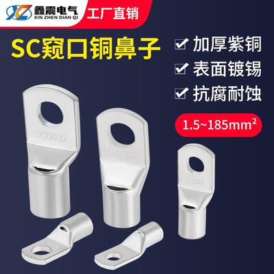 适配供应SC10-6铜鼻子窥口铜接线端子线耳铜鼻子镀银接线端子