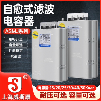 上海威斯康抗谐波自愈式电力并联补偿滤波电容器ASMJ0.69-30-3 20