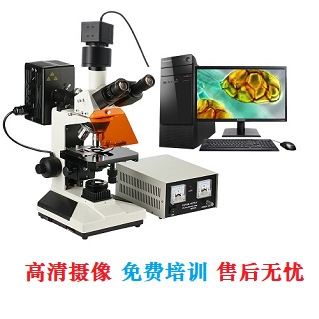 TXM-100免疫学荧光组织切片细胞细菌微生物切片分析荧光显微镜