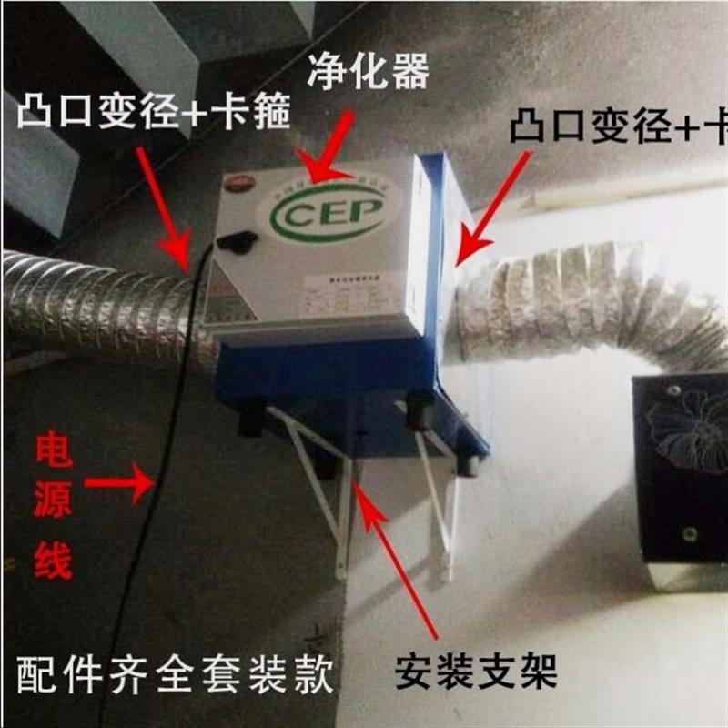 德国进口厂家4000风量油烟净化器环保专用饭店R厨房商用小型餐饮