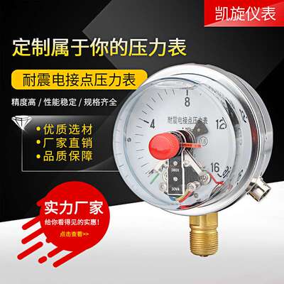 厂家供应压力表 电接点压力表 耐震电接点压力表YNXC100 磁助式