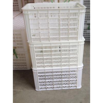 特PCP大号塑料篮加塑料专框1厚.0米篮菜基用大框物流篮周蔬转箱