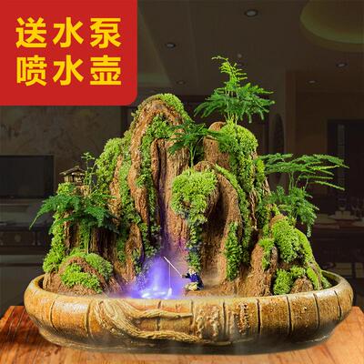 养好发货天都雄姿假山盆景吸水造景石上水小盆栽天然植物室内摆件