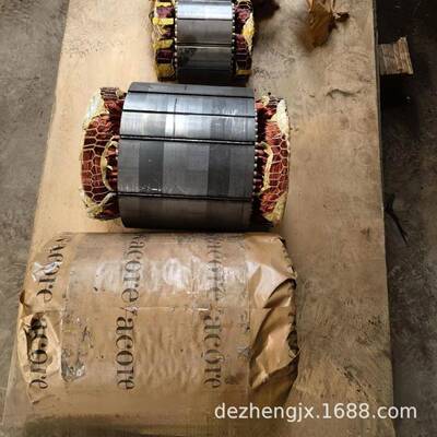 赛飞力水无品牌/泵配件F莱LYGT同不型号默的定子