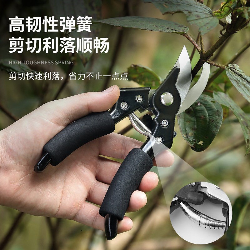 德国品质刀果树园艺园林苗u木省力修花枝新款SK5钢工具树枝修剪神