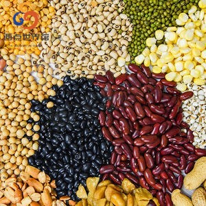Indian pules 印度豆子 moong dal Chana dal red dal 1kg Rajma