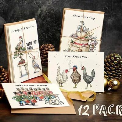 速发Twee Ds Of Cistmas Cd Set With Evelopes Frieds