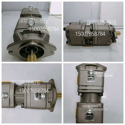 HG22-125-125-01R-VPC-P-36伺服油泵CP22-100-100-P-1Z0双联齿轮