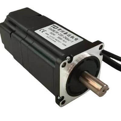 TD60BL99无刷电机带刹车无刷直流电机24V48V310v3000转100w-400