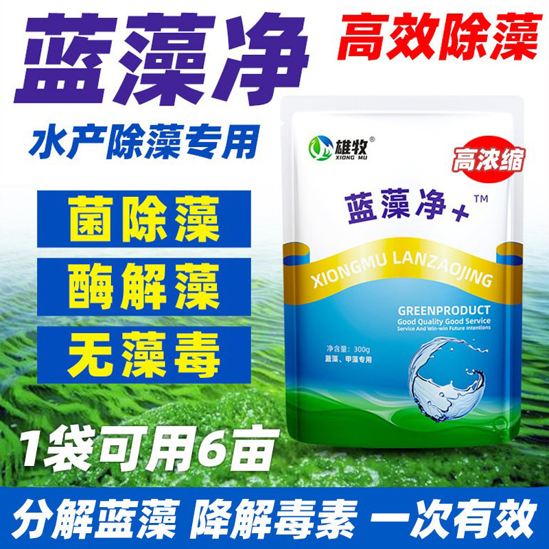 蓝藻净除蓝绿藻分解酶素鱼虾蟹塘生物除藻剂除蓝藻药除绿水净水
