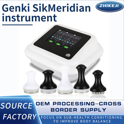 New Bioelectric Pulse Meridian Massager for Beauty Salon