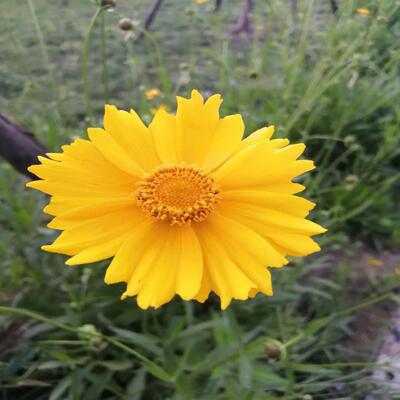 【汇生】奥特迅～ATC48M30Ⅲ~ATC48M30iii【议价】