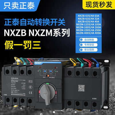 双电源NXZB-63S/4A自动转换CB级NXZM-125S/160S/250S/400S/4A