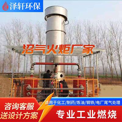 大型工业火炬炼油厂加氢裂化工业尾气酸性气净化安全掺烧焚烧设备