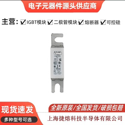 170M1853 170M2615  170M2619快速熔断器 电子元器件 库存充足