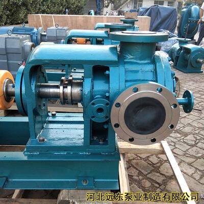 高粘度输送泵东NY1P220B-RU-T1-W1高粘度转泵子重ZUY120kg-远泵业