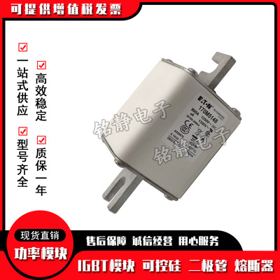 170M5208-5213熔断器保险丝