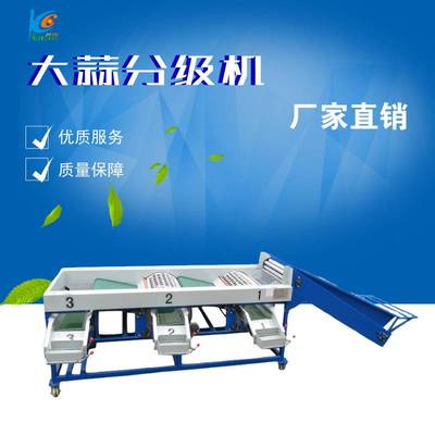 新款大蒜 独头蒜洋葱分级机 耗电低分选精准
