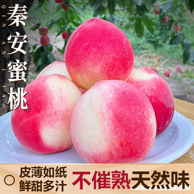 现摘新鲜正宗甘肃秦安水蜜桃