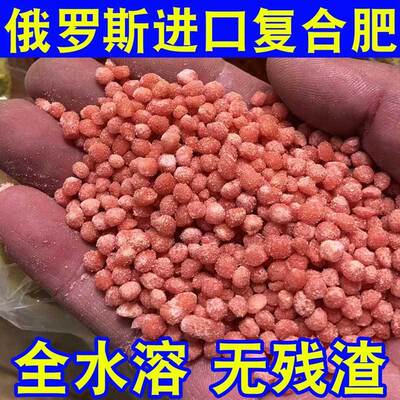 俄罗斯进口有机肥复合肥