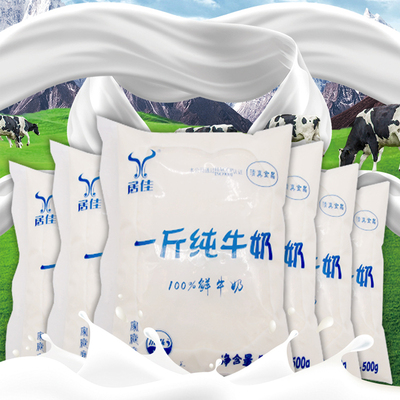 【新鲜日期】居家一斤纯牛奶500gx10袋整箱奶100%生牛乳