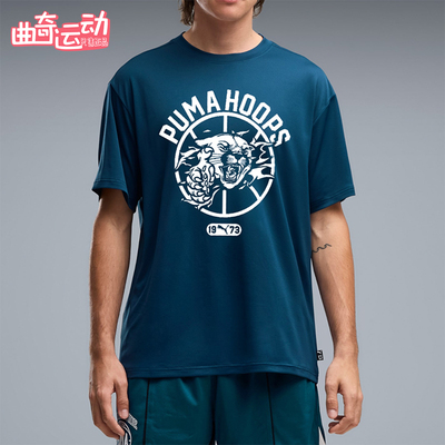 Puma/彪马正品TEAM ROAR Training男士运动短袖T恤529200-02