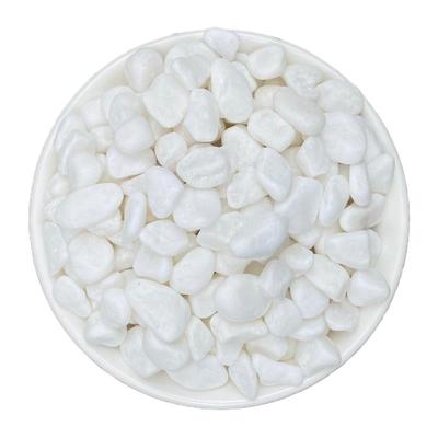 白石子造铺石子白色鹅石百色砾石石头景鱼缸多肉FFQ面卵白色小石