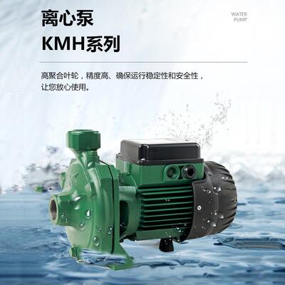 戴博DAB意大利增压泵家用全自动离心泵管道热水循环泵低噪音水泵