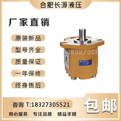 原装正品、合肥长源液压、齿轮油泵 CBN-F63-BFHL、BFPL 齿轮泵