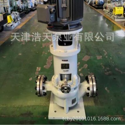石油化工管道泵TDOH3 变频防爆管道泵OH4 不锈钢30403管道泵