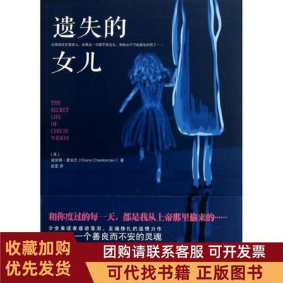 正版图书 遗失的女儿黛安娜夏伯兰|者赵莹湖南文艺