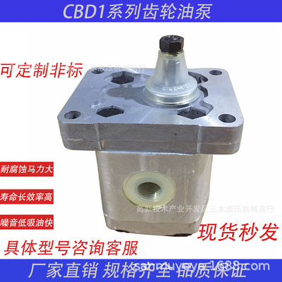液压齿轮泵油泵CBD1-F201.1/202.1/203.7/204.8/205.8电动单元泵