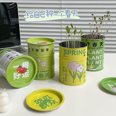 杂啊办公室罐头盆栽绿植t辣椒番茄西红柿种子农场创意母亲节礼物