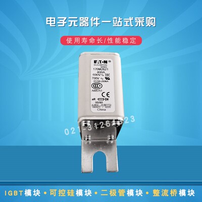 快速熔断器保险丝170M2692 2693 2694 2695 2696 2697 2698 2699
