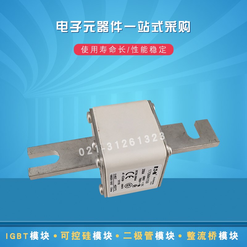 巴斯曼熔断器保险丝170M4159 4160 4161 4162 4163 4164 4165全新