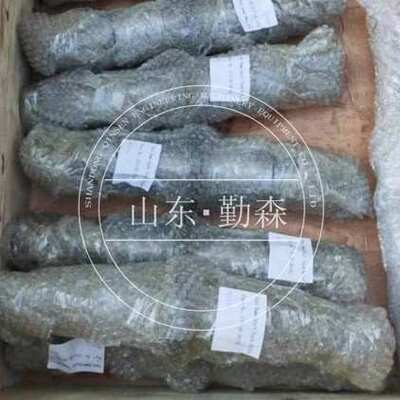推土机配件   D65  联轴节  14X-12-11310  联轴器  134-12-31110