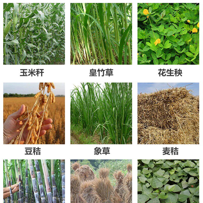 家用小型铡草机玉米秸p秆牛羊饲料粉碎机青草两用电动碎草机切草
