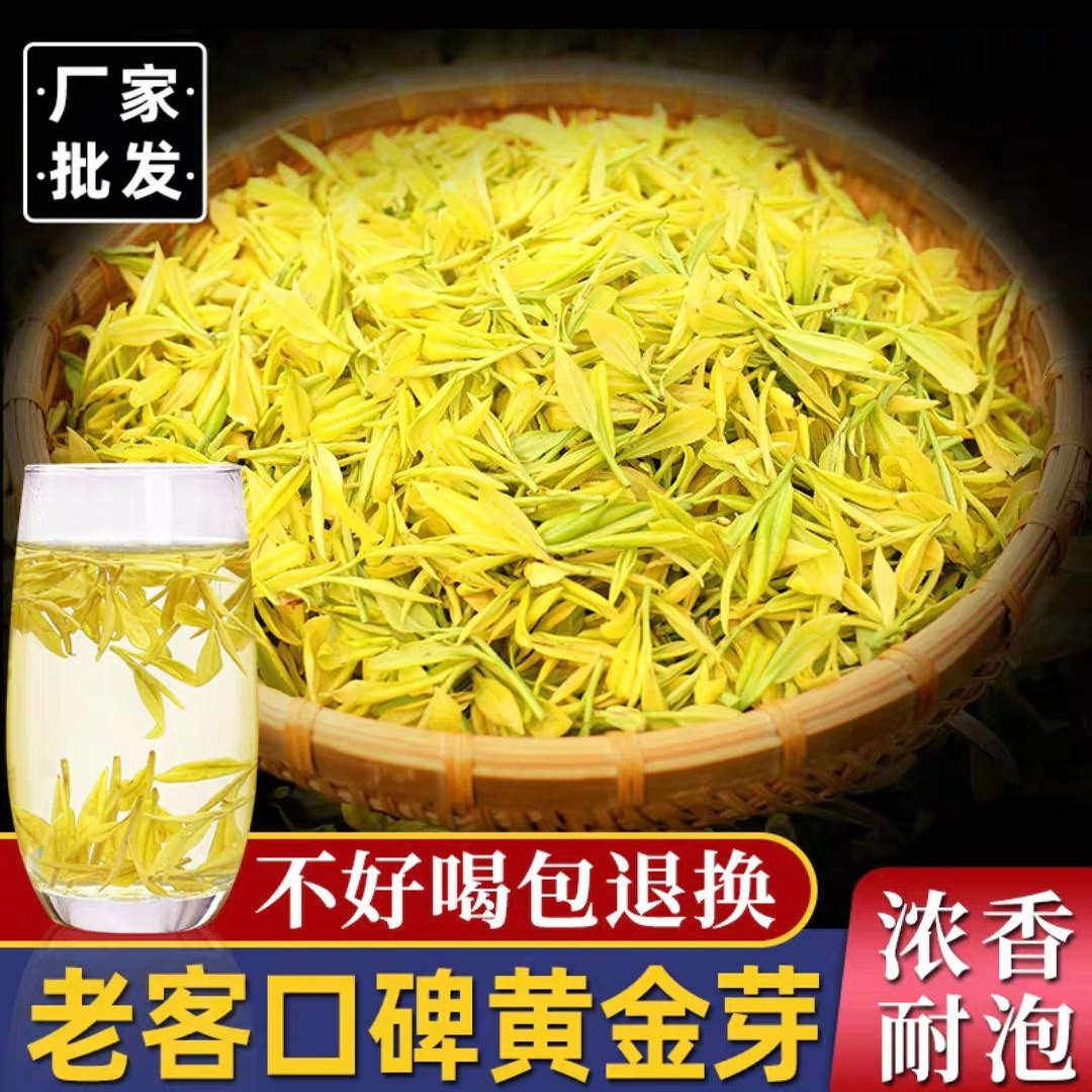 黄金芽2026年新茶明前头采手工嫩芽安吉高山白茶自己喝黄金芽茶叶