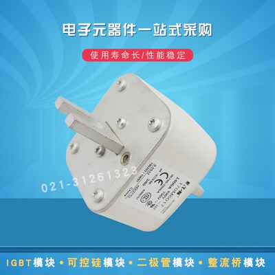 170M6017 170M6018 170M6019 170M6020 170M6021巴斯曼熔断器现货