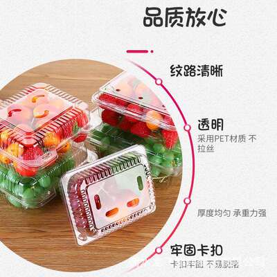 125克包装水果盒一次性打包果蔬盒蓝莓盒水果包装盒