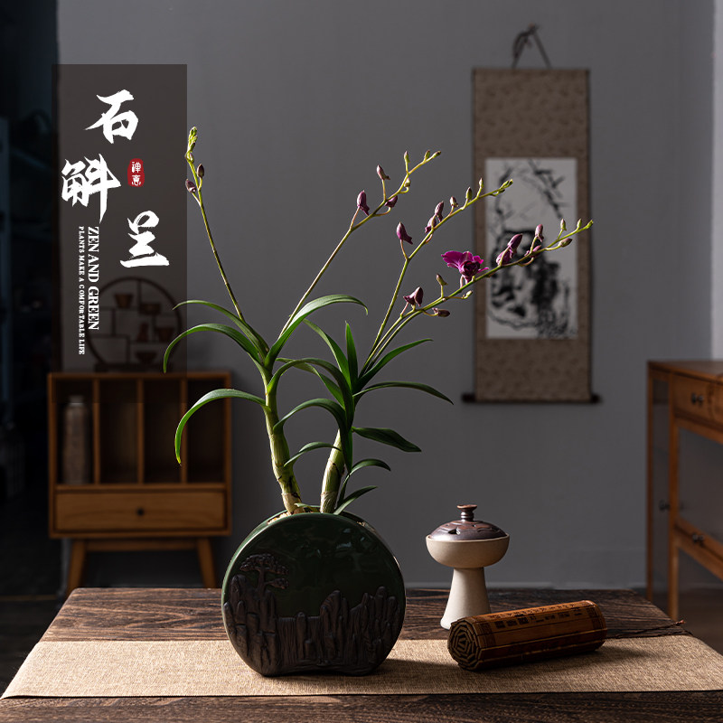香水石斛兰盆栽室内盆景开花植物花卉兰花绿O植桌面带花苞茶桌摆