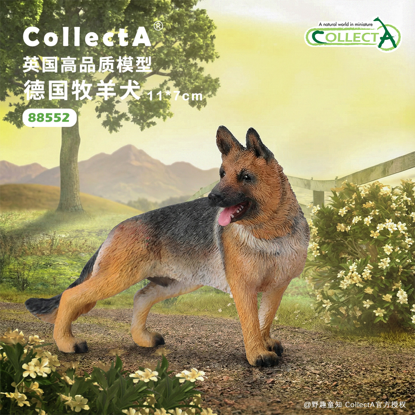 【德国牧羊狗】CollectA官方授权正版动物模型早教玩具