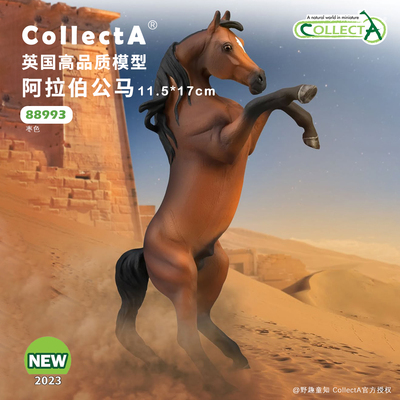 【88993阿拉伯公马】英国CollectA我你他仿真动物模型玩具马玩具