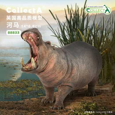CollectA河马动物模型玩具