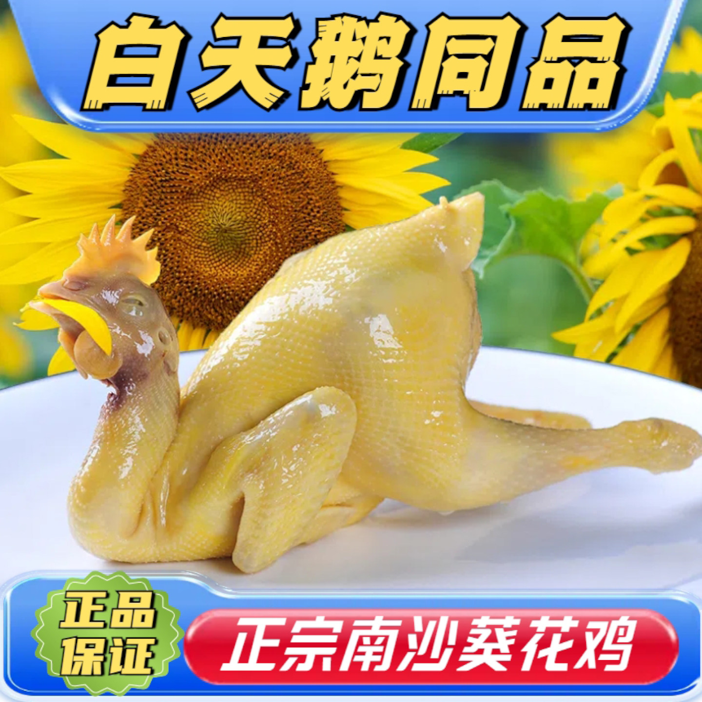 著名广州葵花鸡 白切鸡广东名鸡散养土鸡不喂饲料 (不发鸡爪内脏)