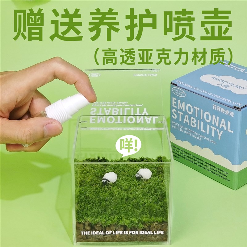入植苔藓私人草坪微景观办公室A桌面情绪稳定植物生态瓶盆栽送礼