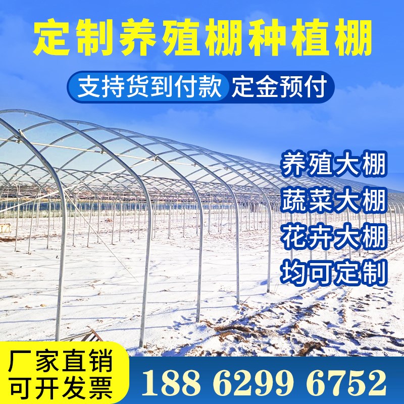 温室蔬菜塑料种植大棚钢管骨架y全套养牛鸡连栋养殖椭圆管支架架