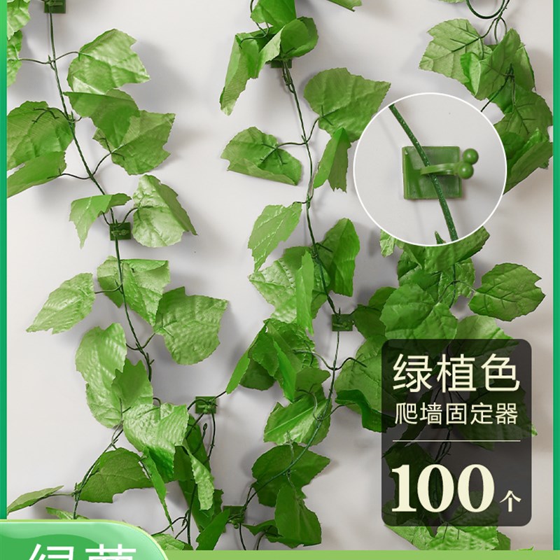 速发绿萝卡子爬墙固定器爬藤免蔓绿箩花藤子客厅自粘卡扣夹钉神器