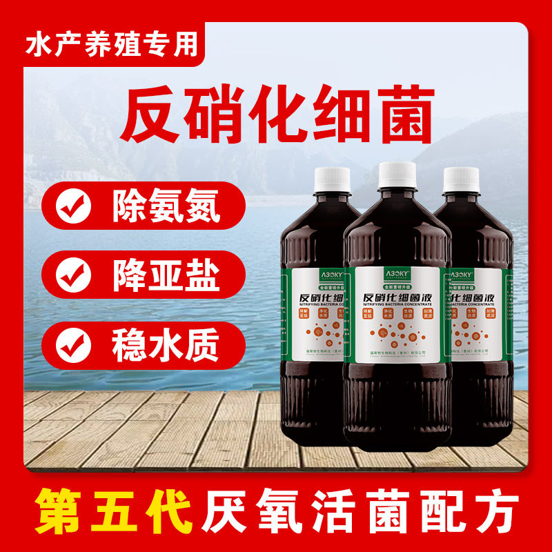 反硝化细菌水产养殖专用降氨氮亚硝酸盐调节水质硝化菌鱼缸净水剂
